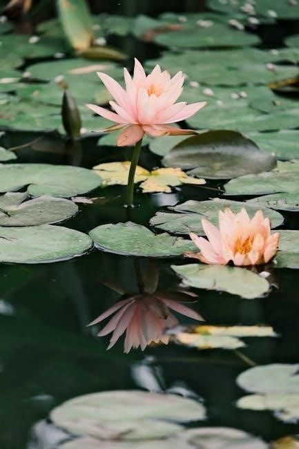 Hot Spring Freshwater Salt System Manual | Complete Guide